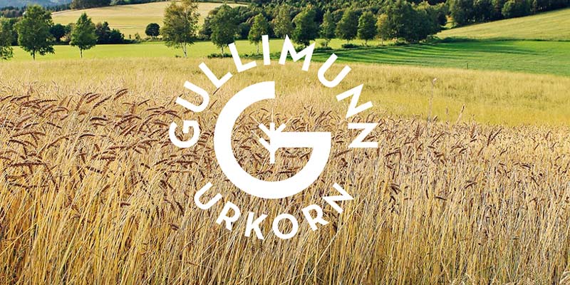Økologisk urkorn fra Innherred | Bakekurs og oppskrifter | Gullimunn